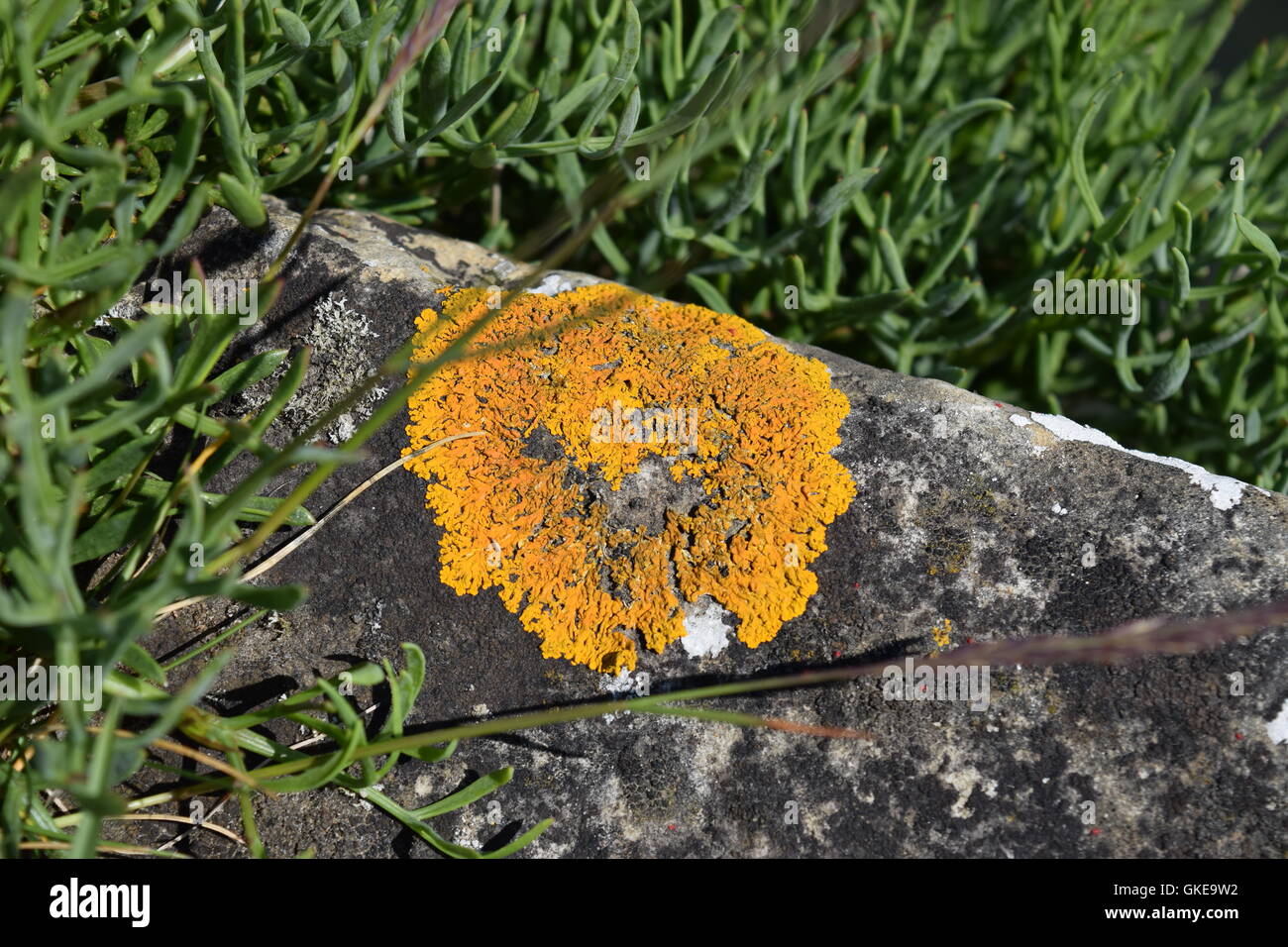 Black paint splodge on rock hi-res stock photography and images - Alamy