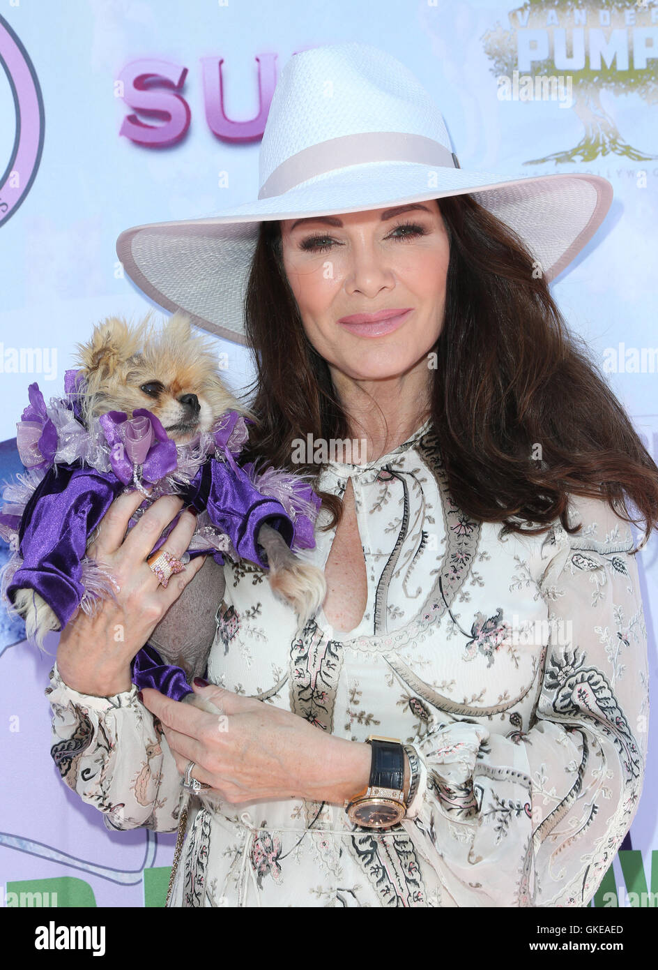 Lisa vanderpump dog 2016 hi-res stock photography and images - Alamy
