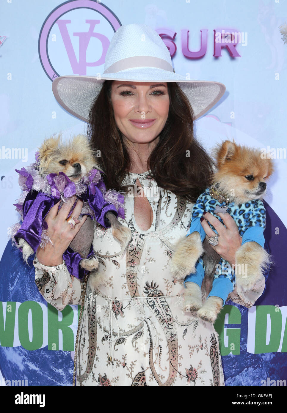 Lisa vanderpump dog 2016 hi-res stock photography and images - Alamy