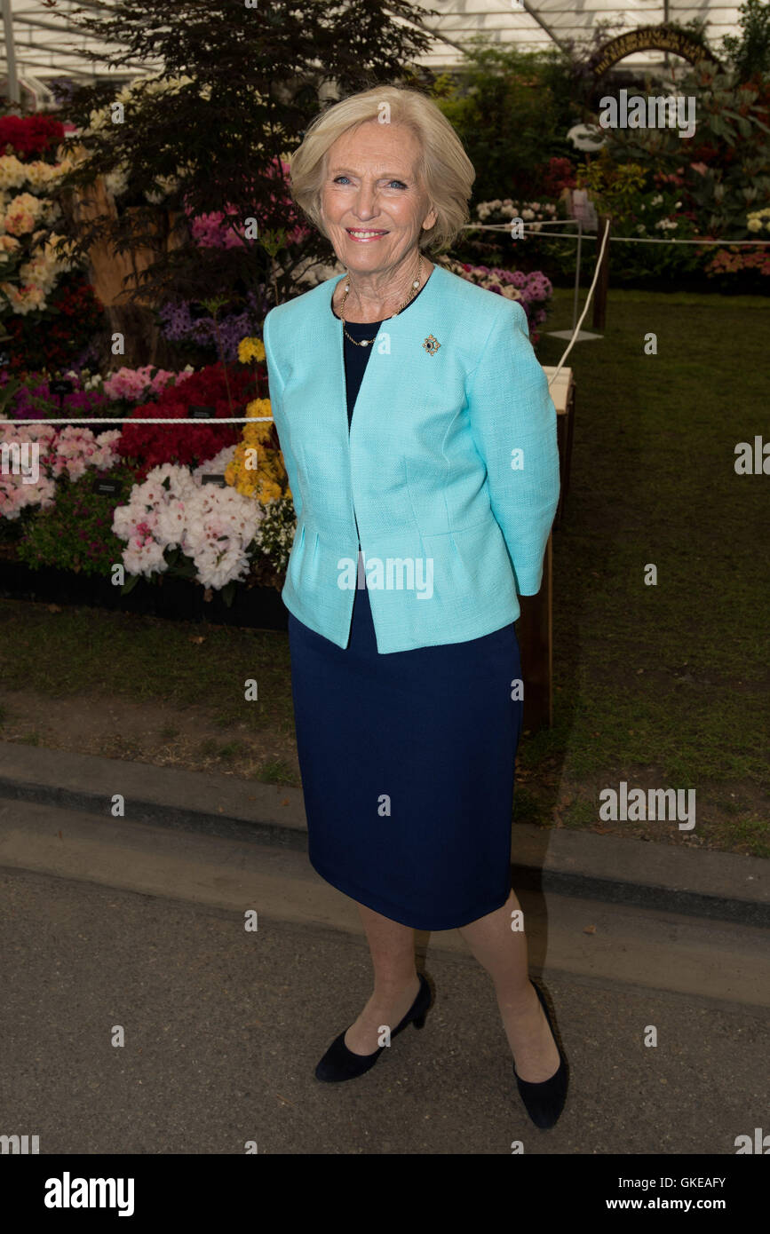 Mary berry rhs chelsea flower show royal hospital chelsea hi-res stock ...