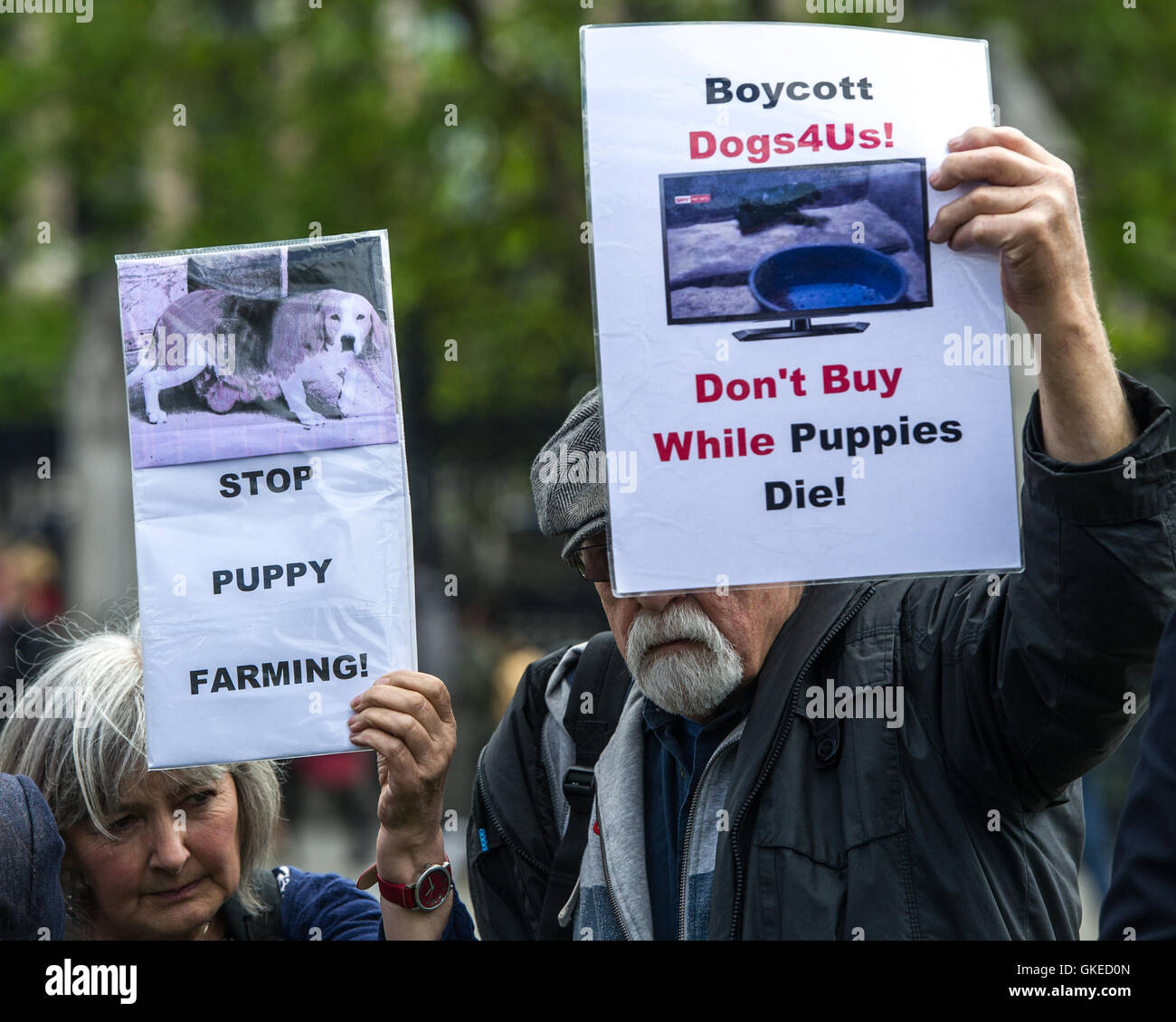 Celebrities and MP’s join activists from PupAid and C.A.R.I.A.D (Care ...