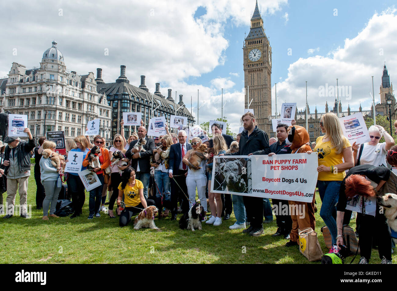 Celebrities and MP’s join activists from PupAid and C.A.R.I.A.D (Care ...