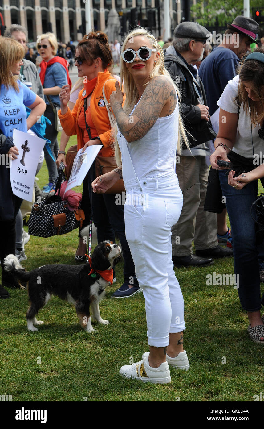 Ban Puppy Farming Demo in Parliament Square with Jodie Marsh and Meg ...