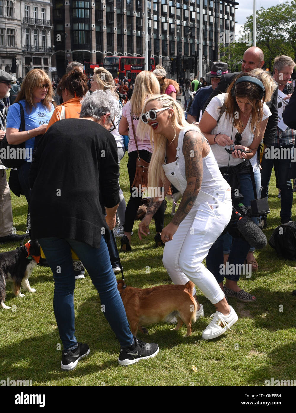 Celebrities and MP’s join activists from PupAid and C.A.R.I.A.D (Care ...