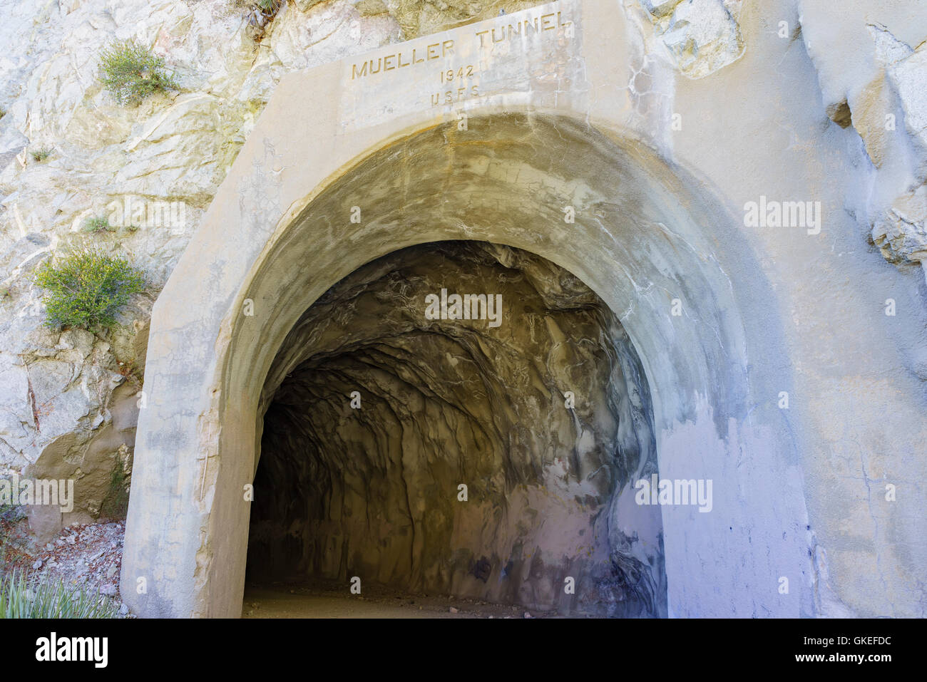 The historical trail - Mount Lowe Raiwaly around Mount Wilson Stock ...