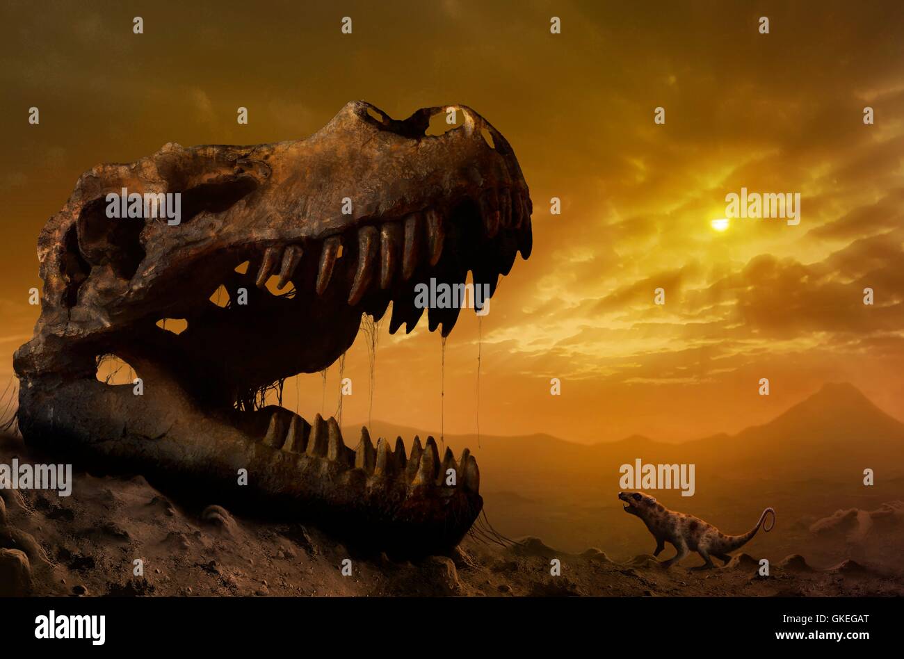 Tyrannosaur like hi-res stock photography and images - Alamy