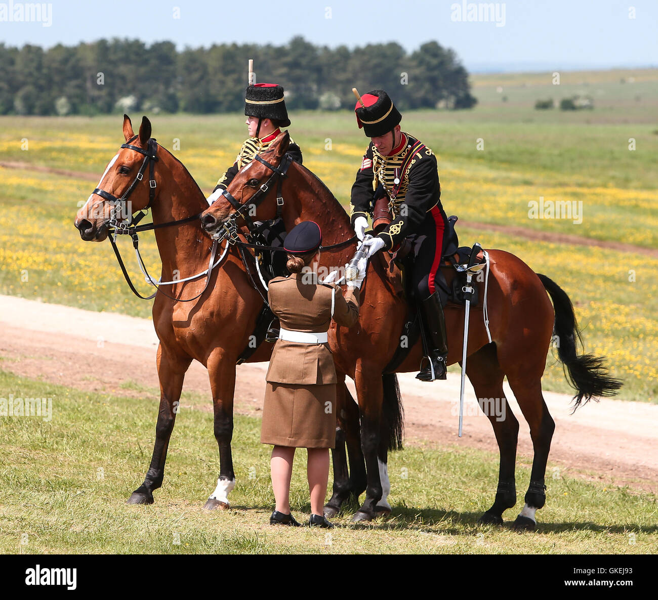 With the 26 regiment royal artillery hi-res stock photography and ...