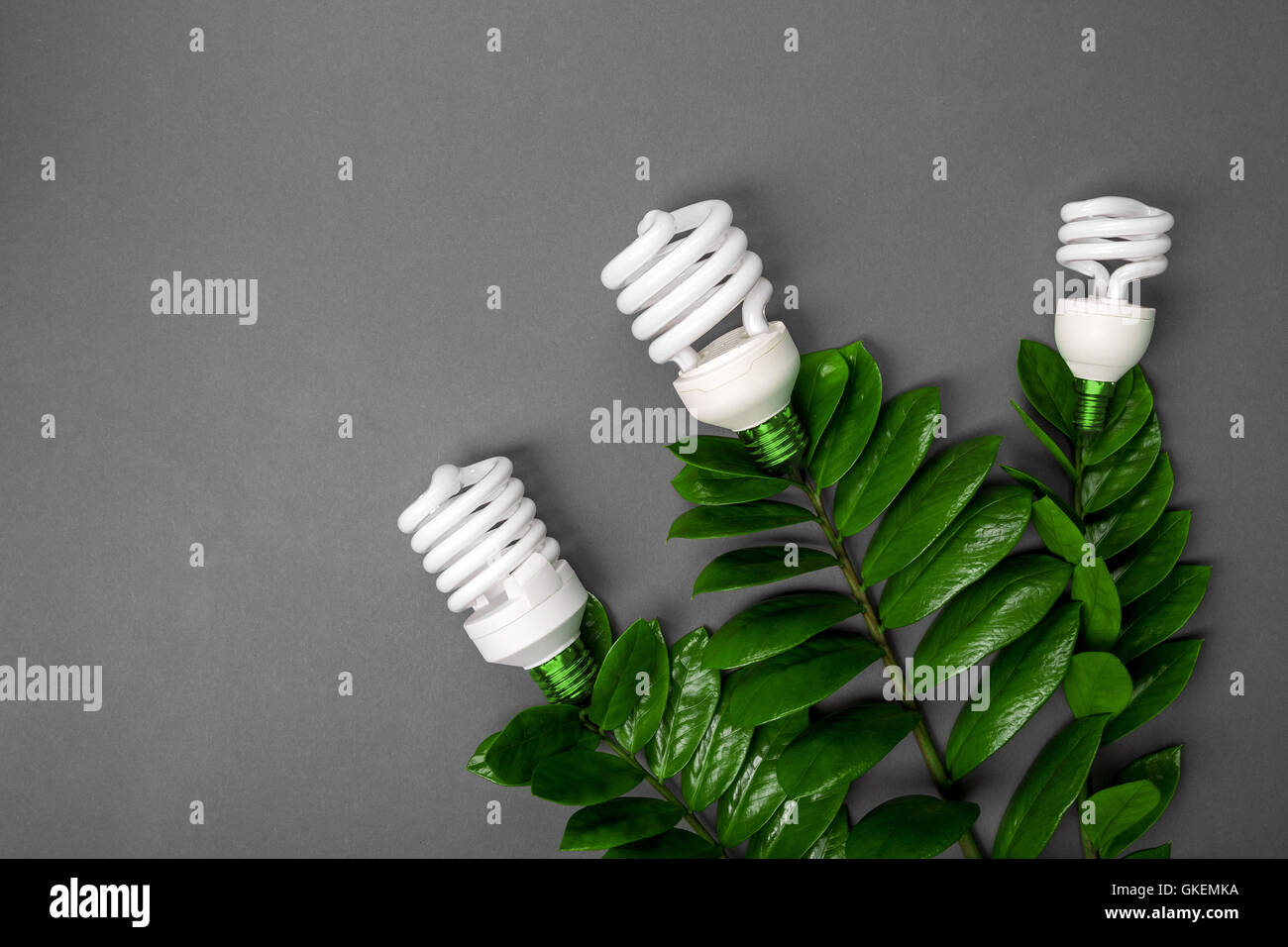 Three LED lamp with green leaf, ECO energy concept, close up. Light ...