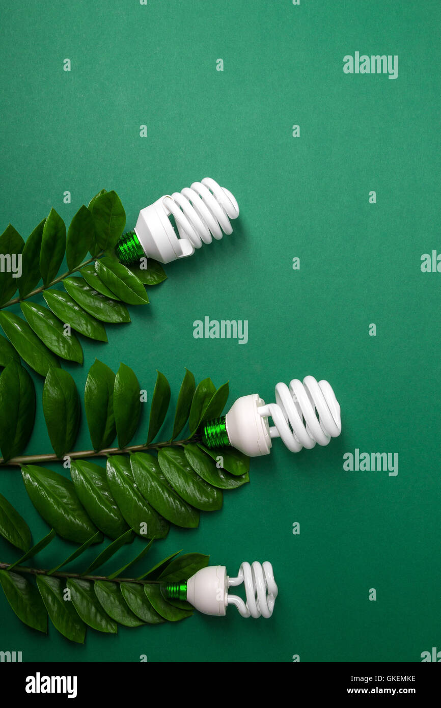 Three LED lamp with green leaf, ECO energy concept, close up. Light ...