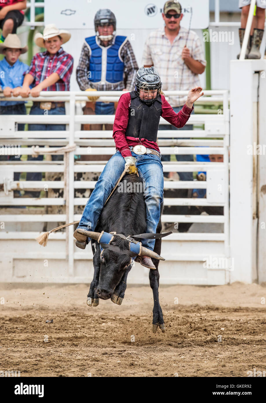 Junior Steer Riding High Resolution Stock Photography and Images - Alamy