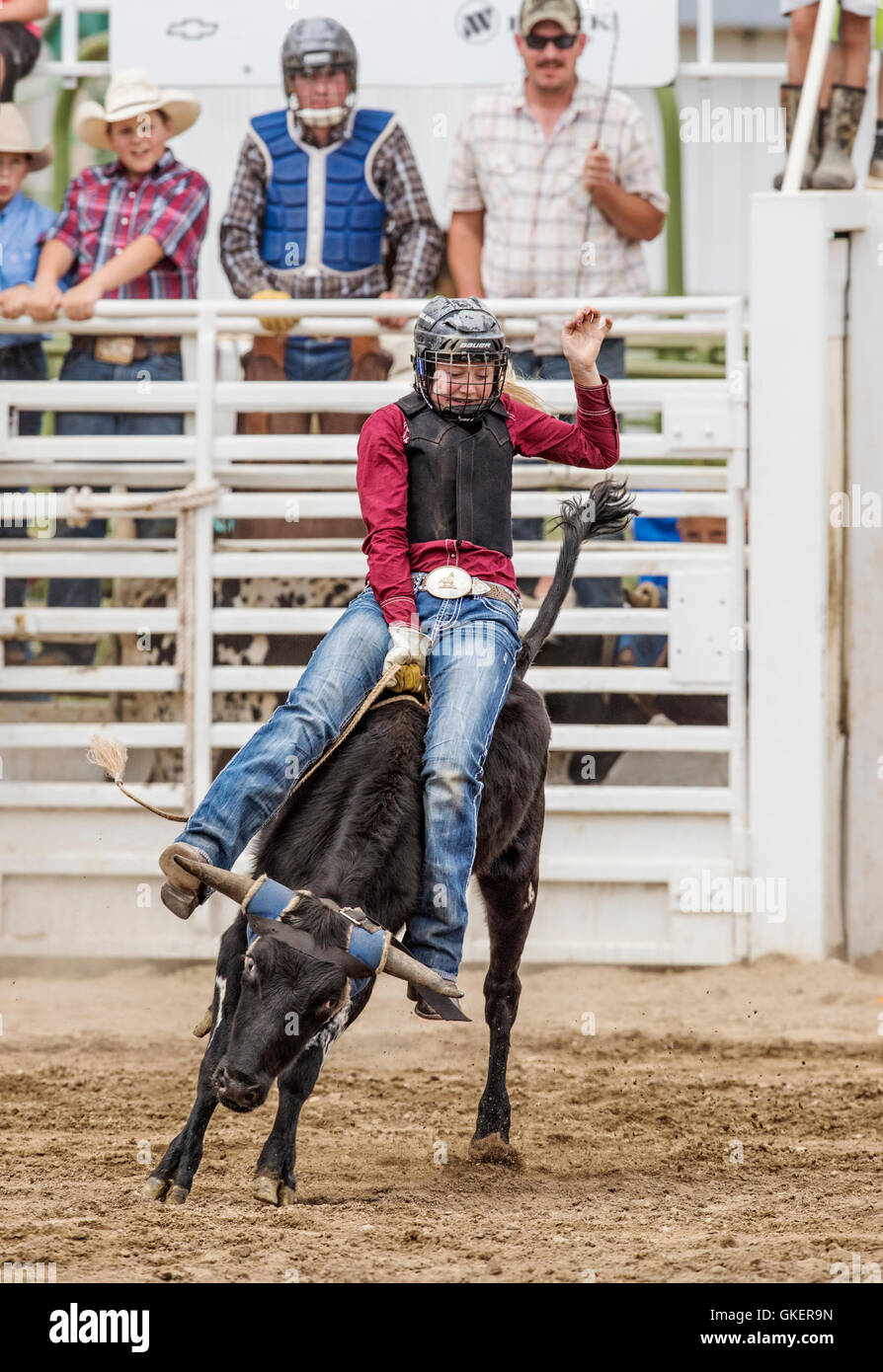 Junior steer riding hi-res stock photography and images - Alamy