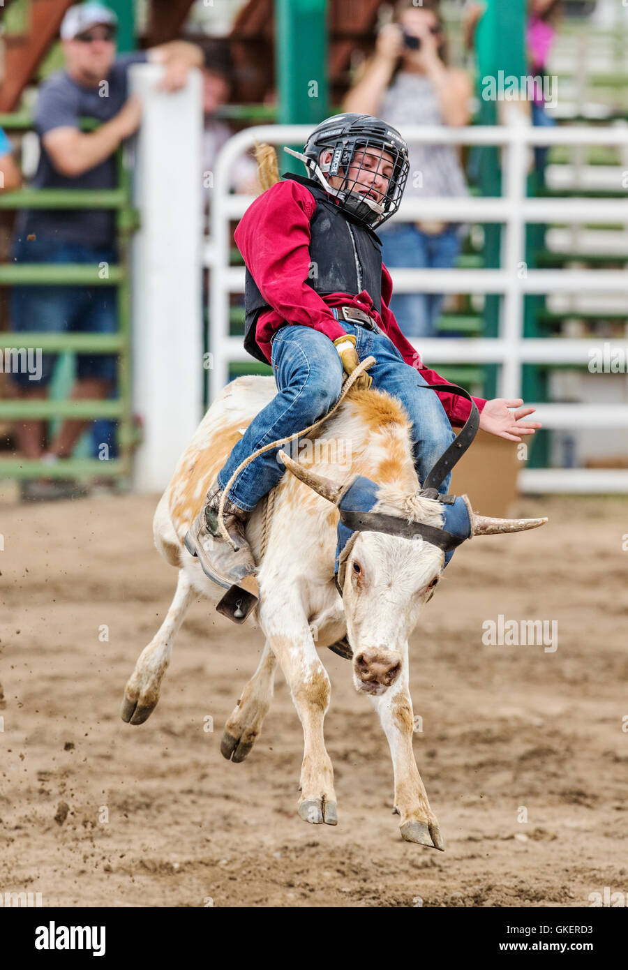 Young cowboy riding a small bull in the Junior Steer Riding competition ...