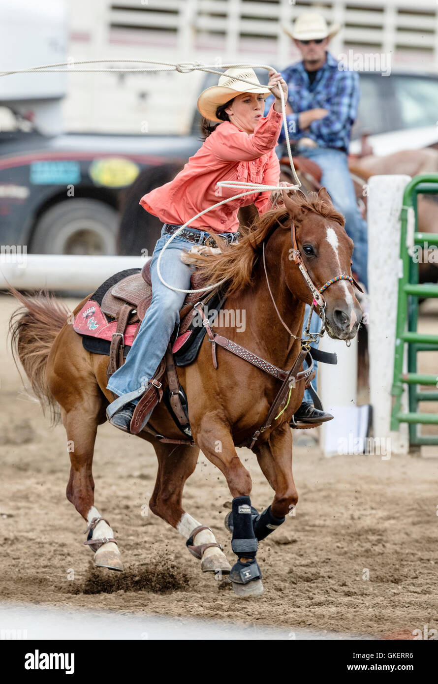 Woman Riding Bull High Resolution Stock Photography and Images - Alamy