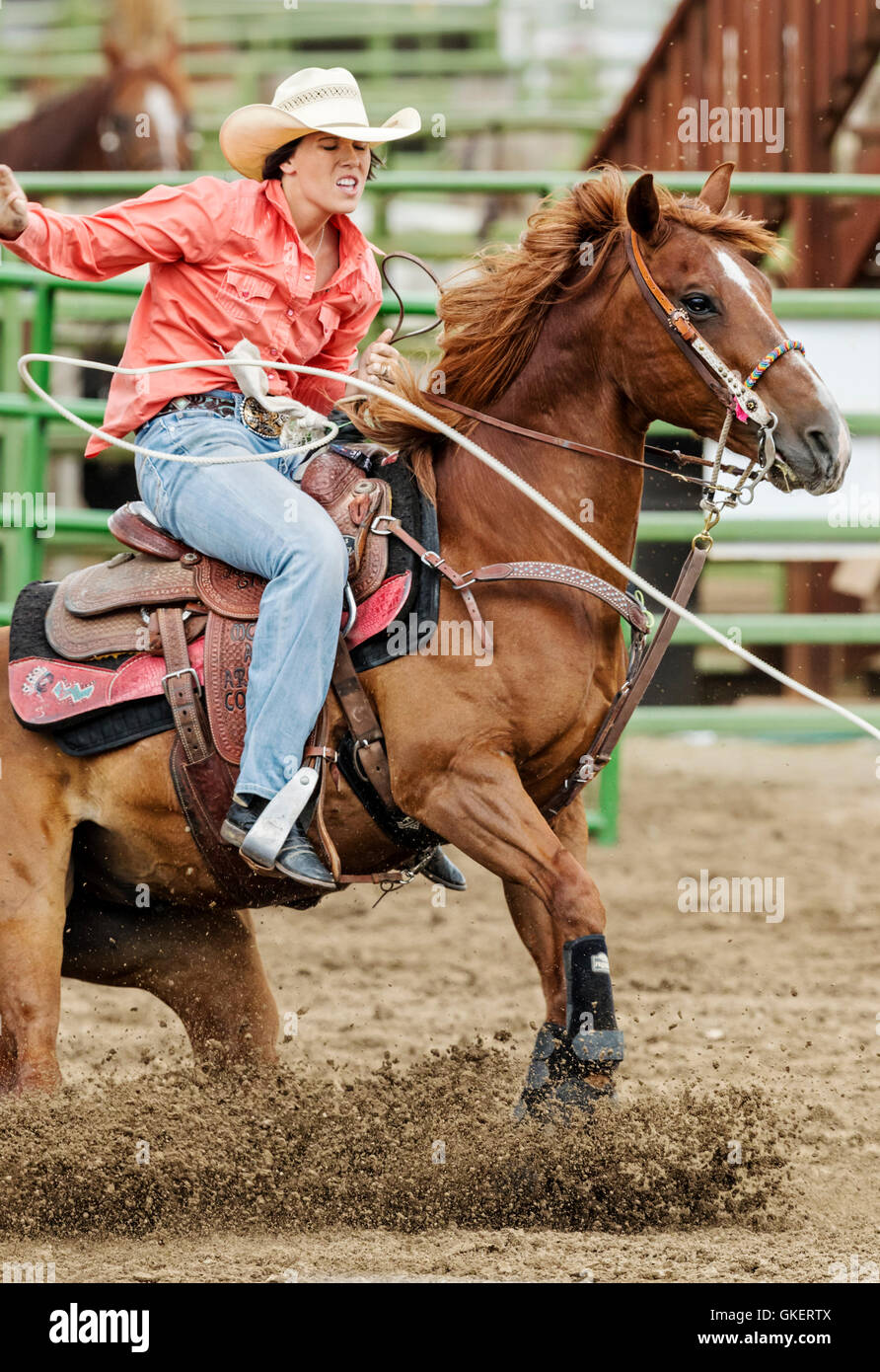 Rodeo cowgirl on horseback competing in calf roping, or tie-down roping ...