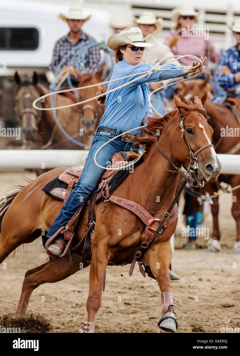 Rodeo cowgirl on horseback competing in calf roping, or tie-down roping ...