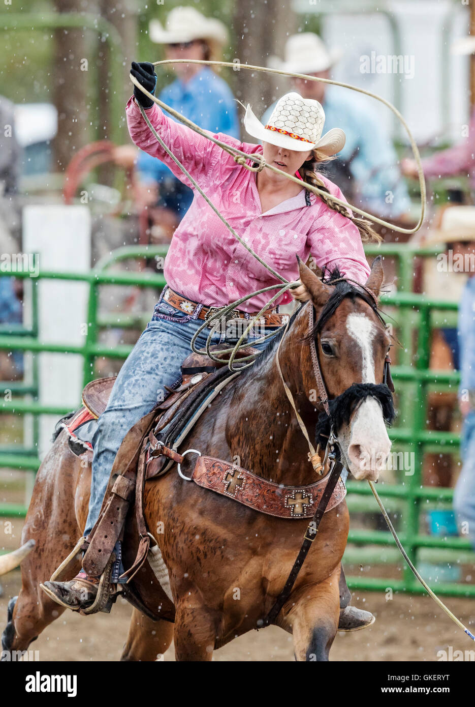 Woman riding on bull hi-res stock photography and images - Alamy