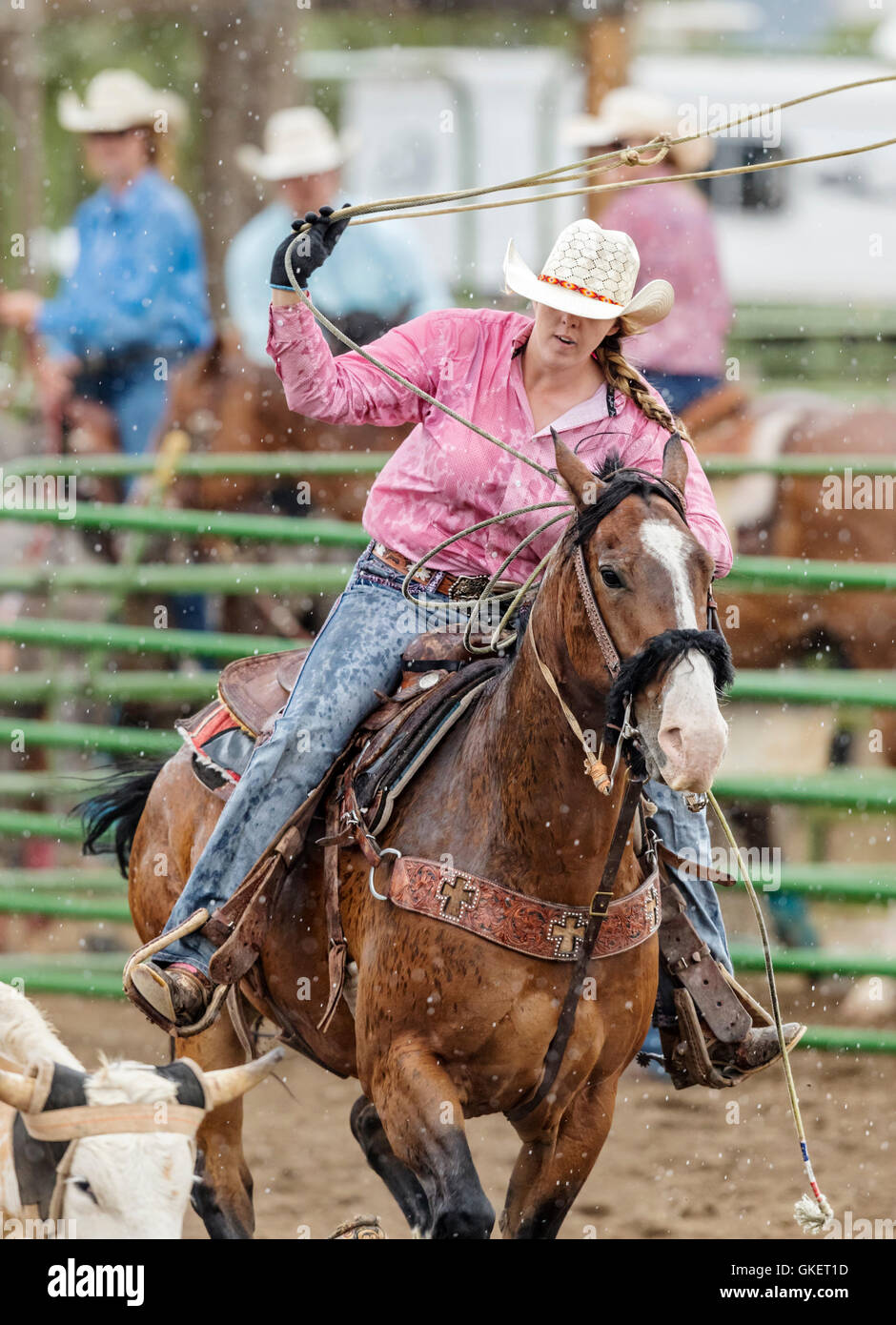 Rodeo cowgirl on horseback competing in calf roping, or tie-down roping ...