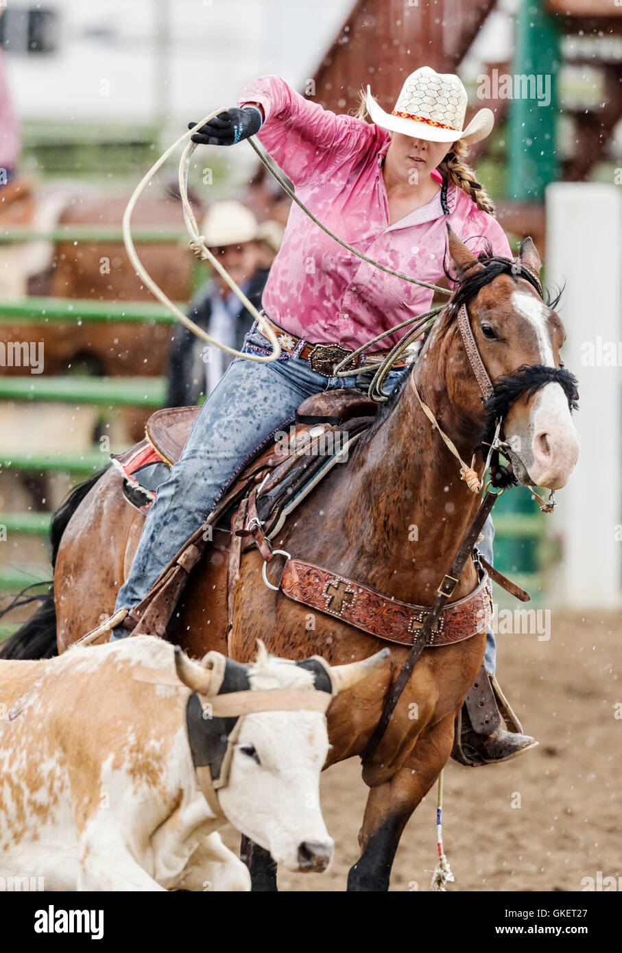 Rodeo cowgirl on horseback competing in calf roping, or tie-down roping ...