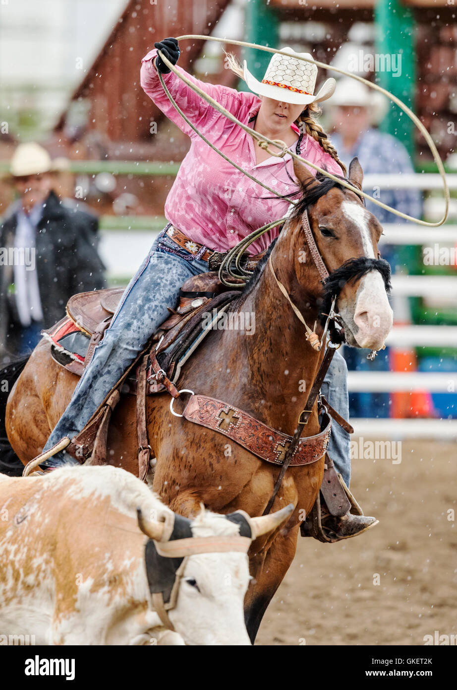 Feminine Cow Stock Photos & Feminine Cow Stock Images - Alamy
