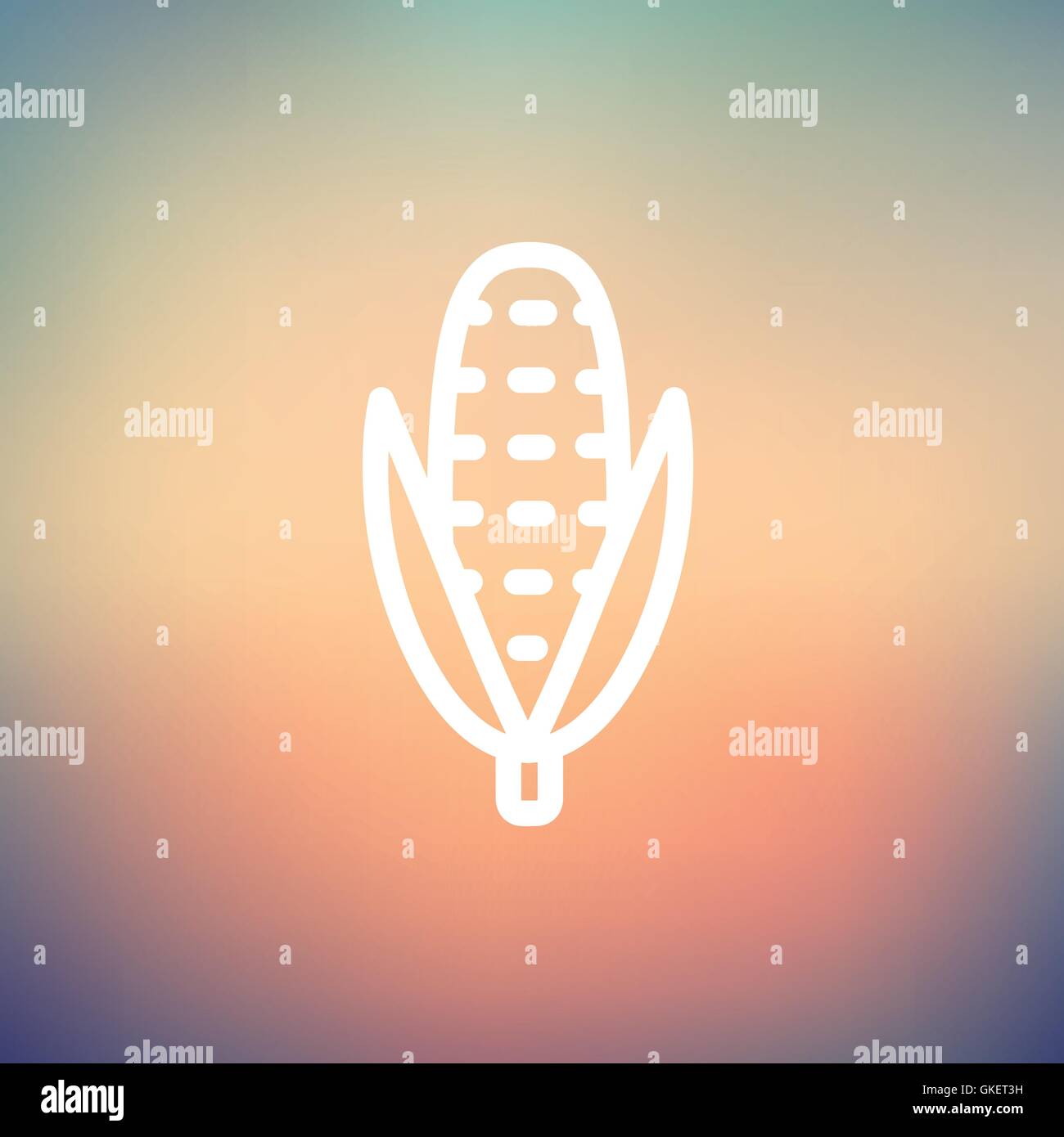 Leaf corn Stock Vector Images - Alamy