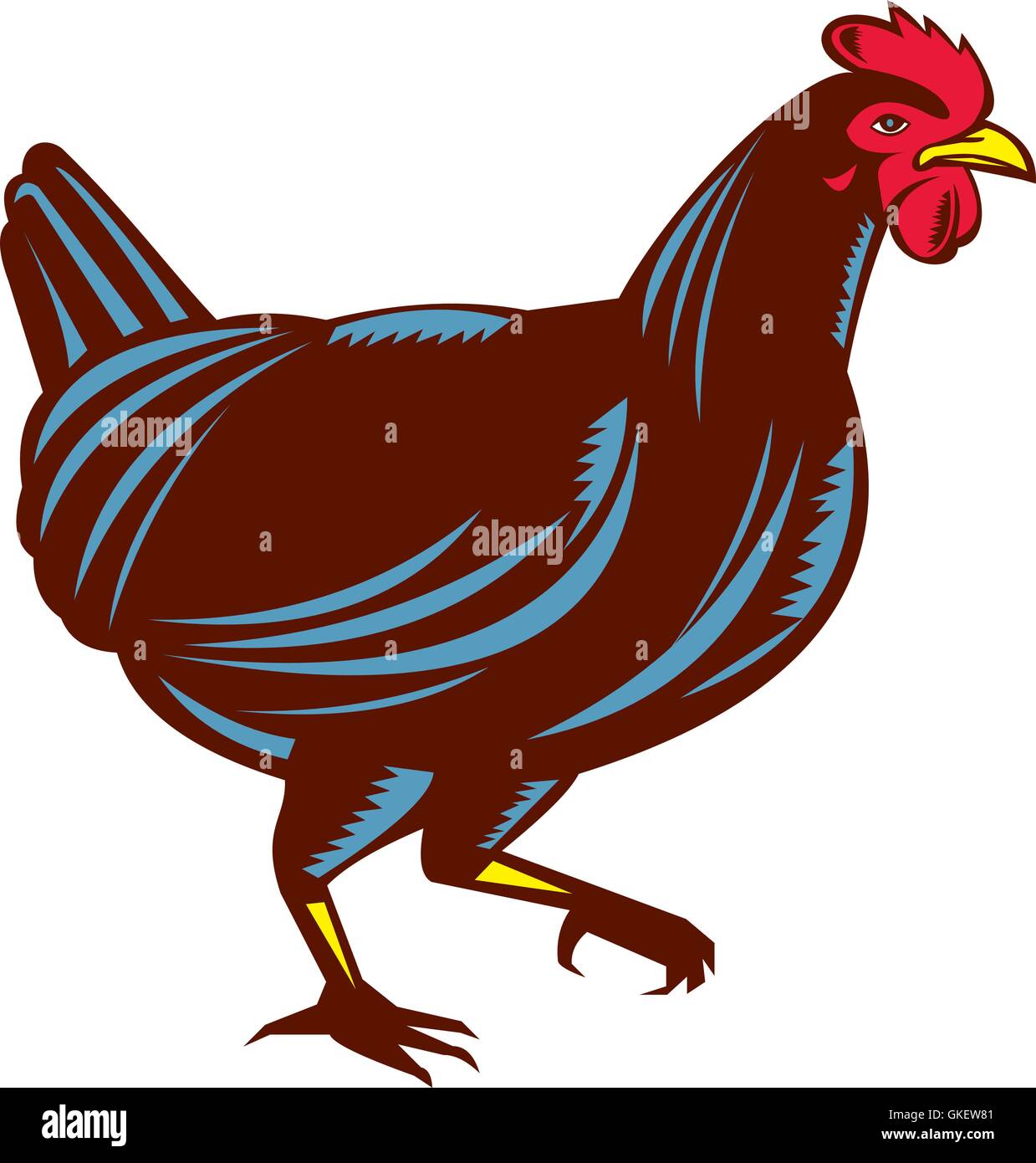 Illustration hen chicken side view hi-res stock photography and images ...