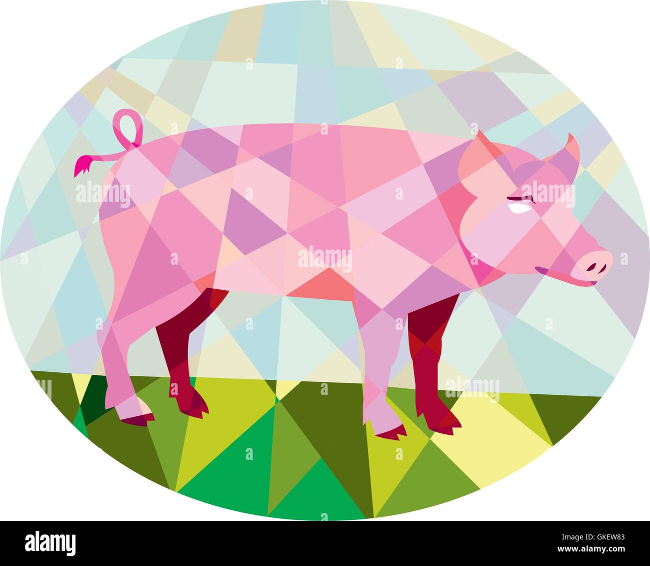 Tamworth Pig Side Oval Low Polygon Stock Vector Image & Art - Alamy