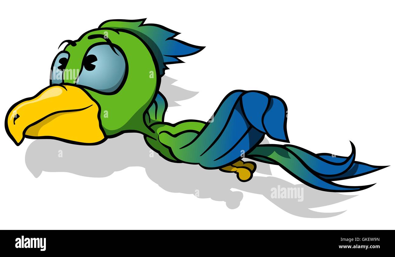 Parrot vector hi-res stock photography and images - Alamy