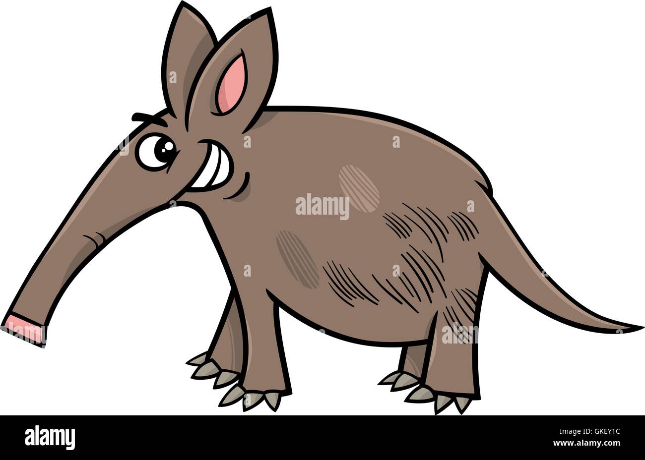 aardvark animal cartoon illustration Stock Vector Image & Art - Alamy