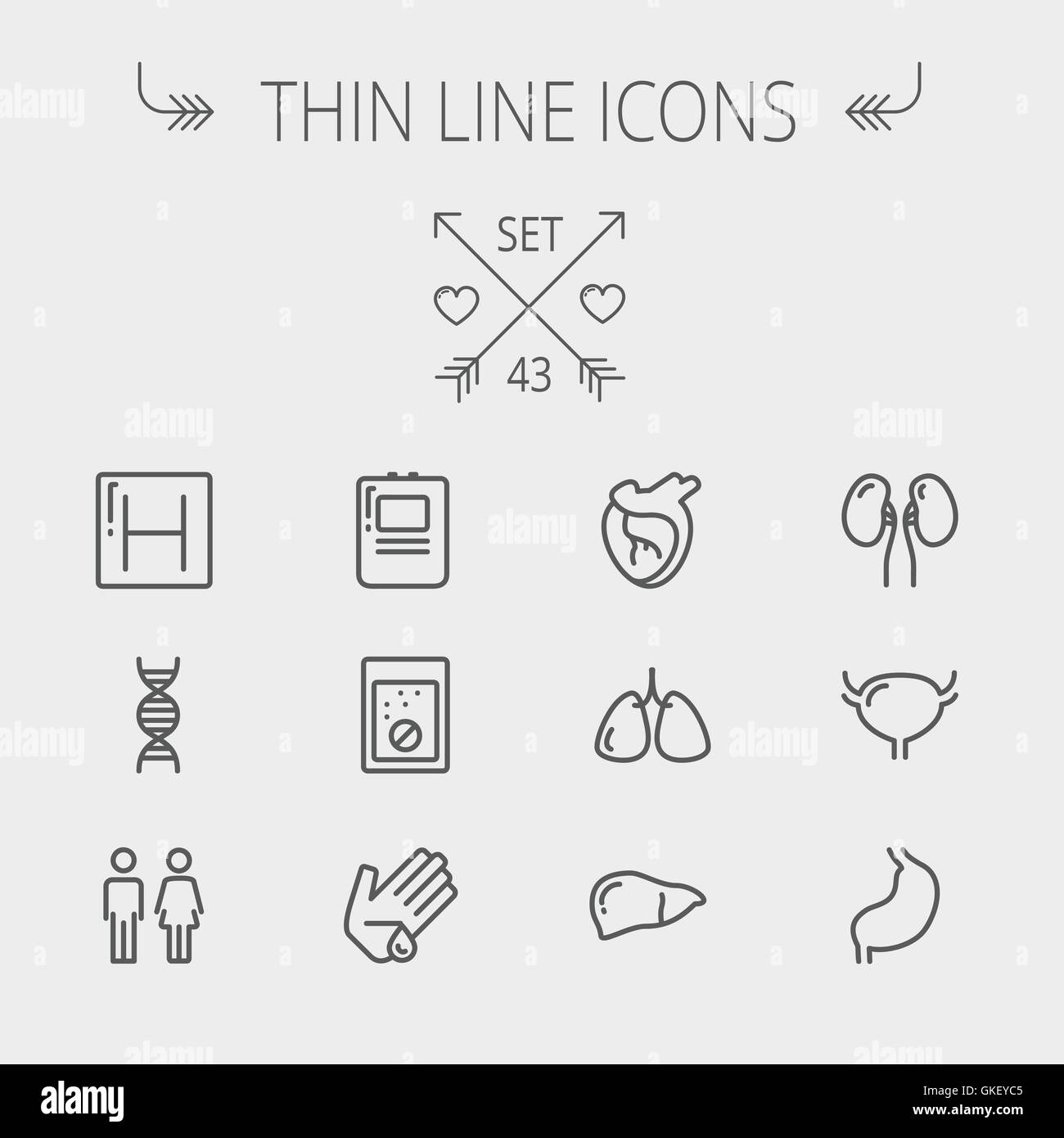 Stomach muscle line Black and White Stock Photos & Images - Alamy