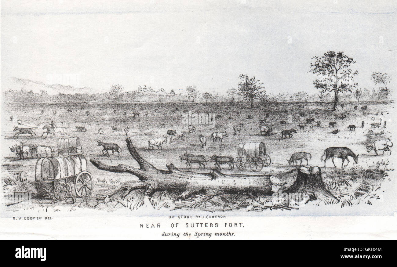 John sutters fort hi-res stock photography and images - Alamy