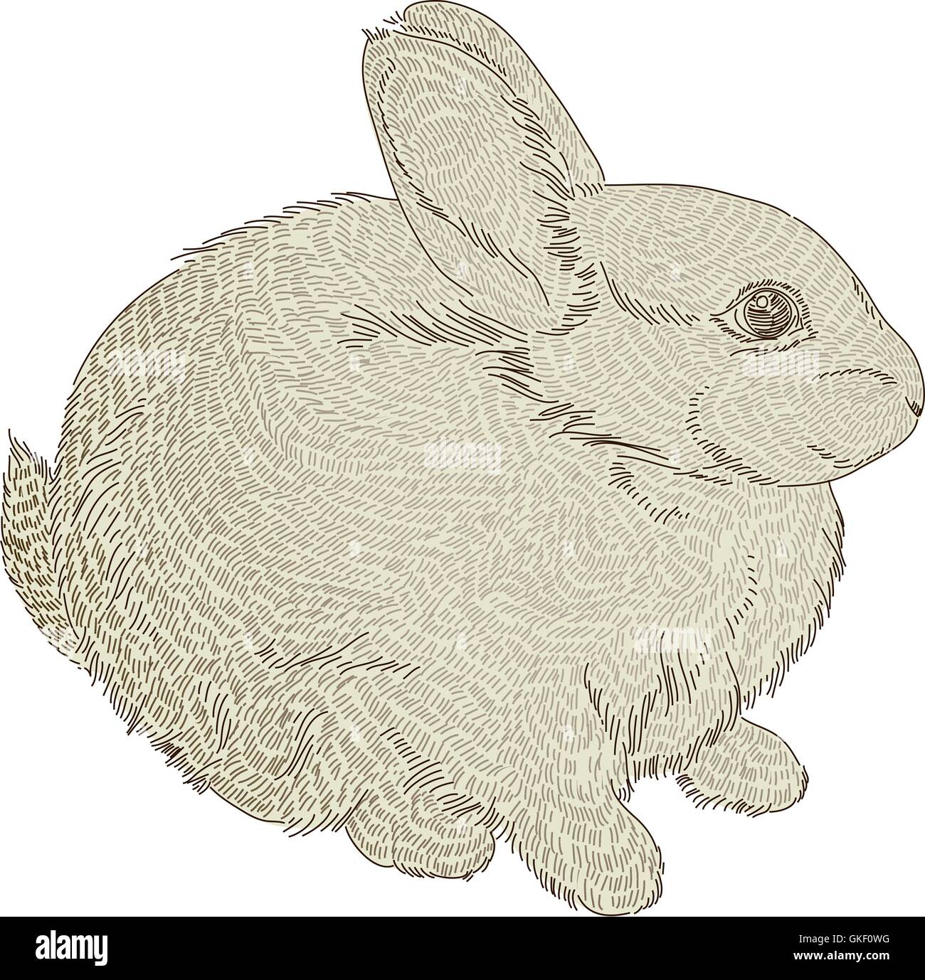 Rabbit mustache Stock Vector Images - Alamy