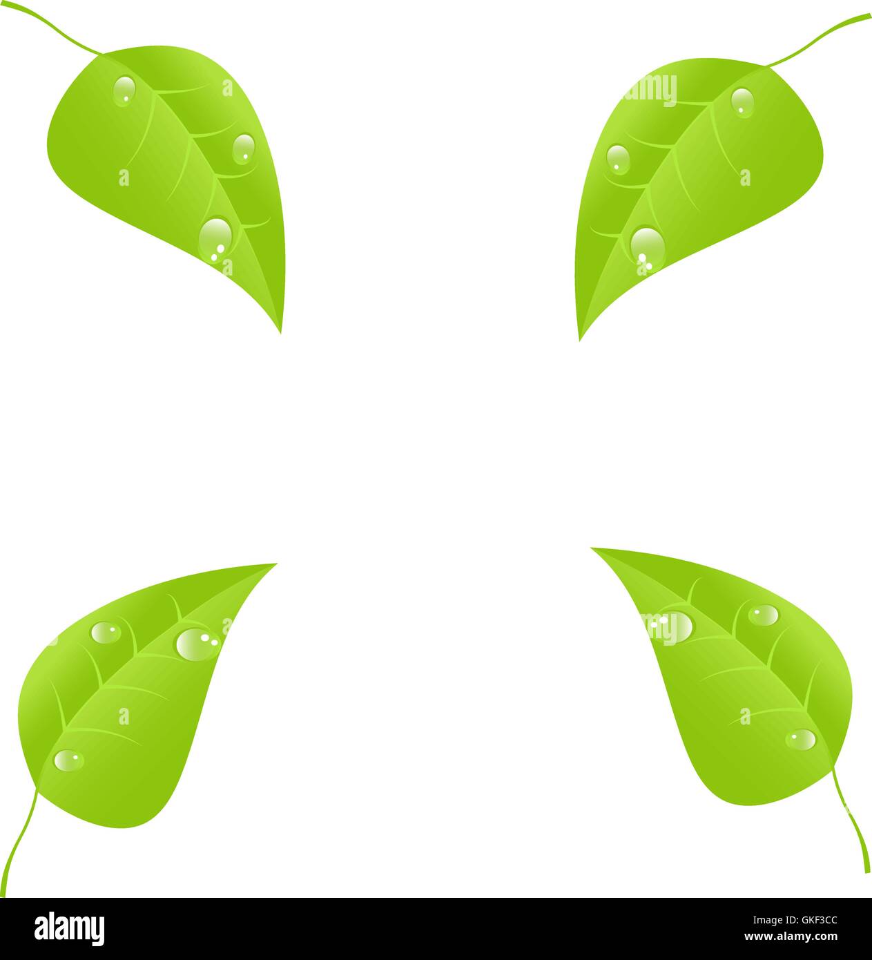 Rounded leaf Stock Vector Images - Alamy