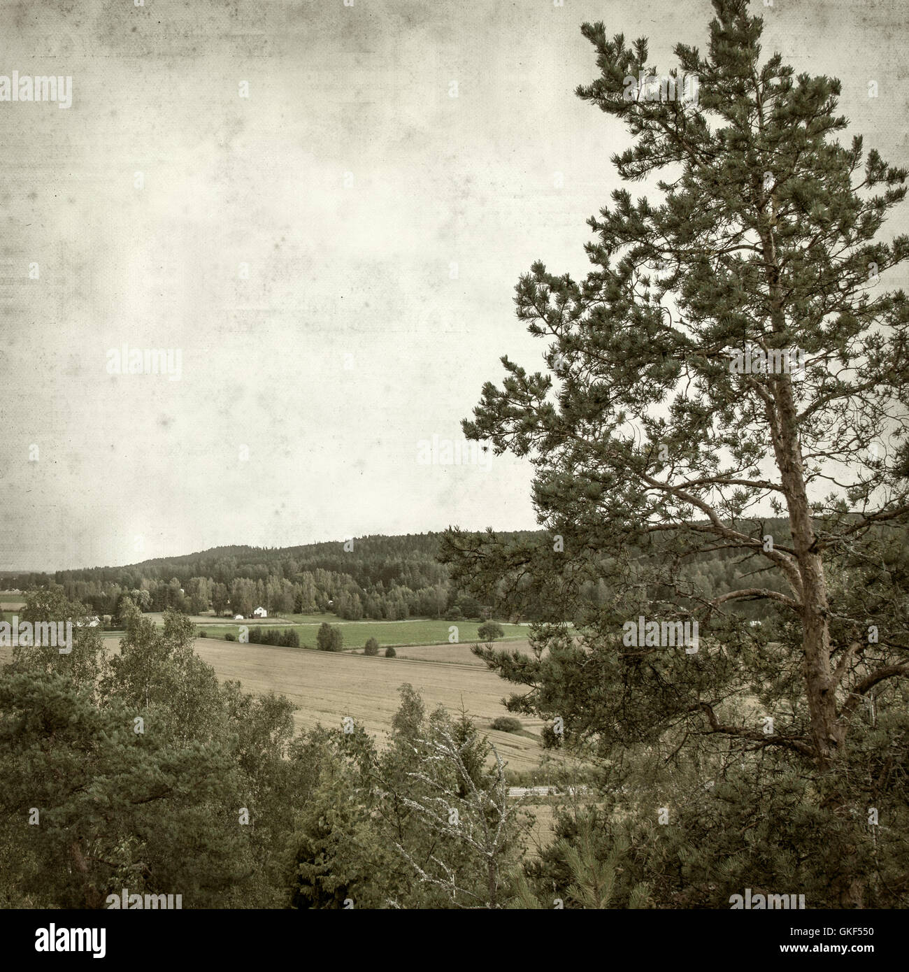 textured old paper background with landscape of Finland Stock Photo - Alamy