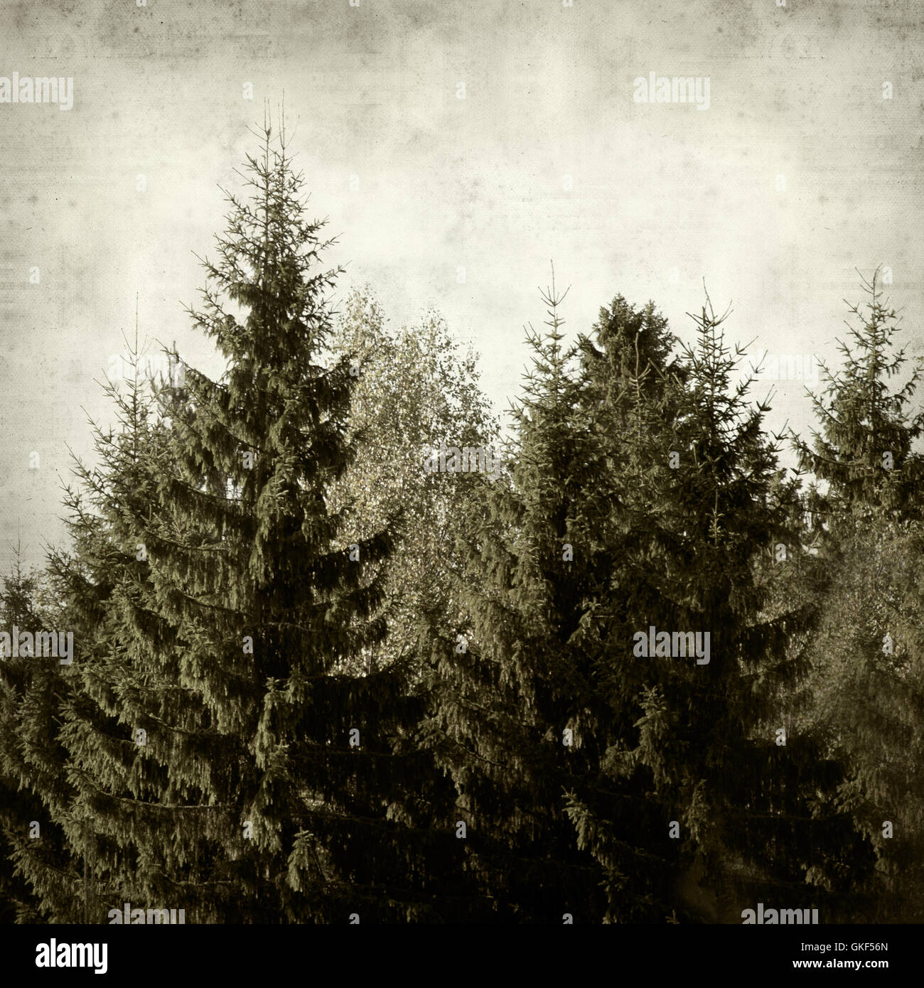 textured old paper background with landscape of Finland Stock Photo - Alamy