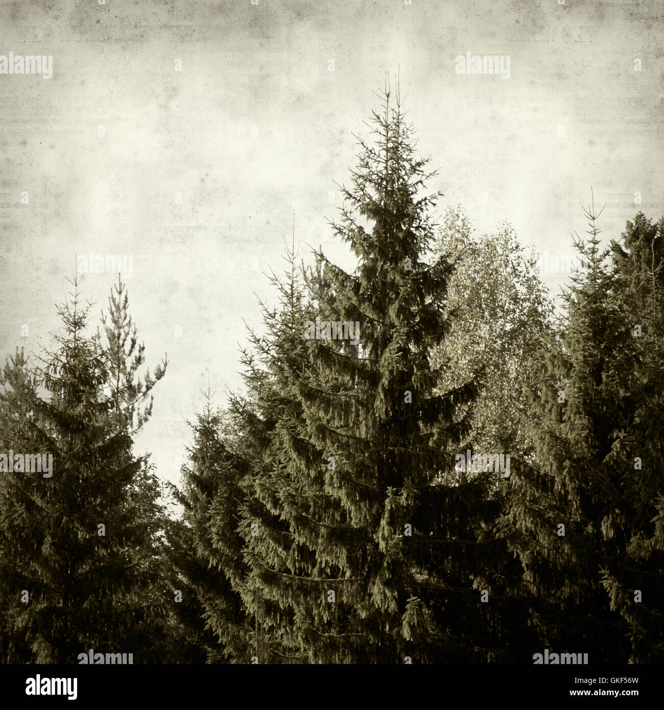 textured old paper background with landscape of Finland Stock Photo - Alamy