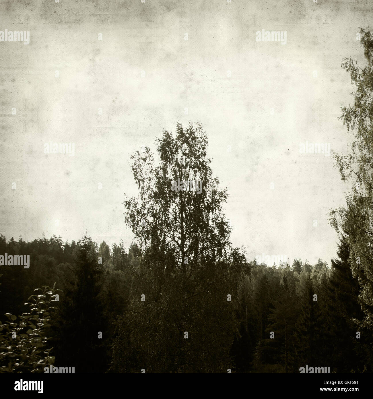 textured old paper background with landscape of Finland Stock Photo - Alamy