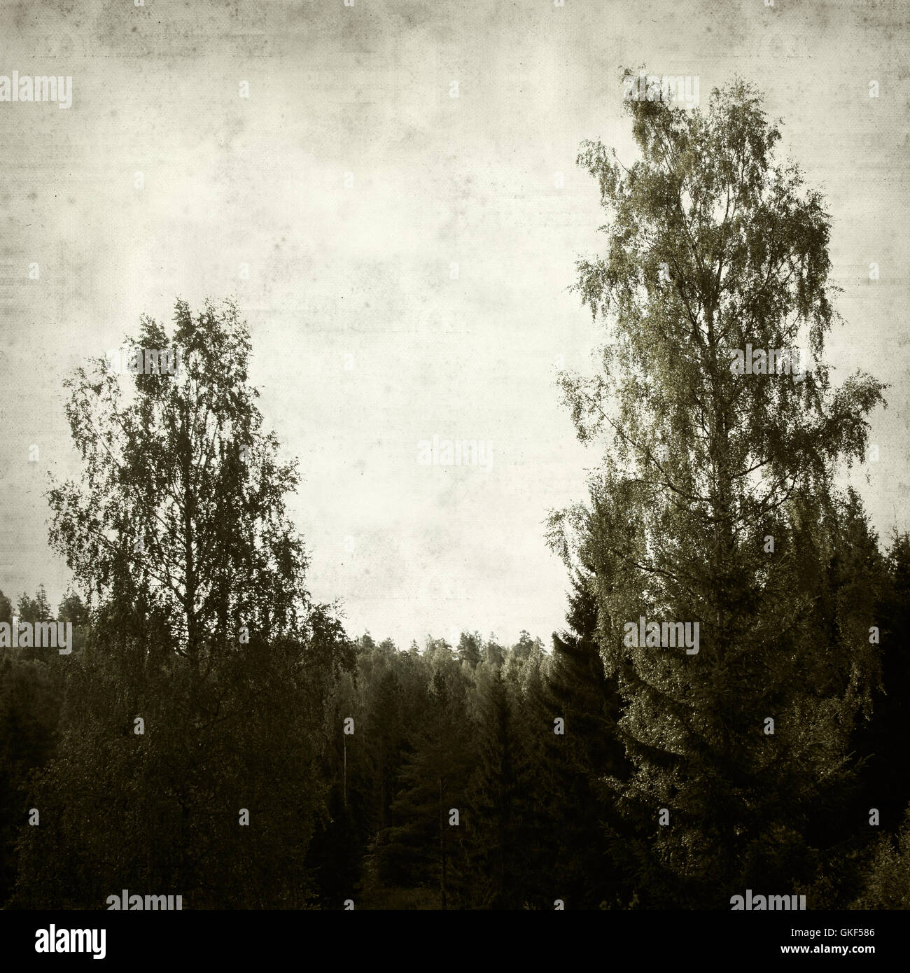 textured old paper background with landscape of Finland Stock Photo - Alamy