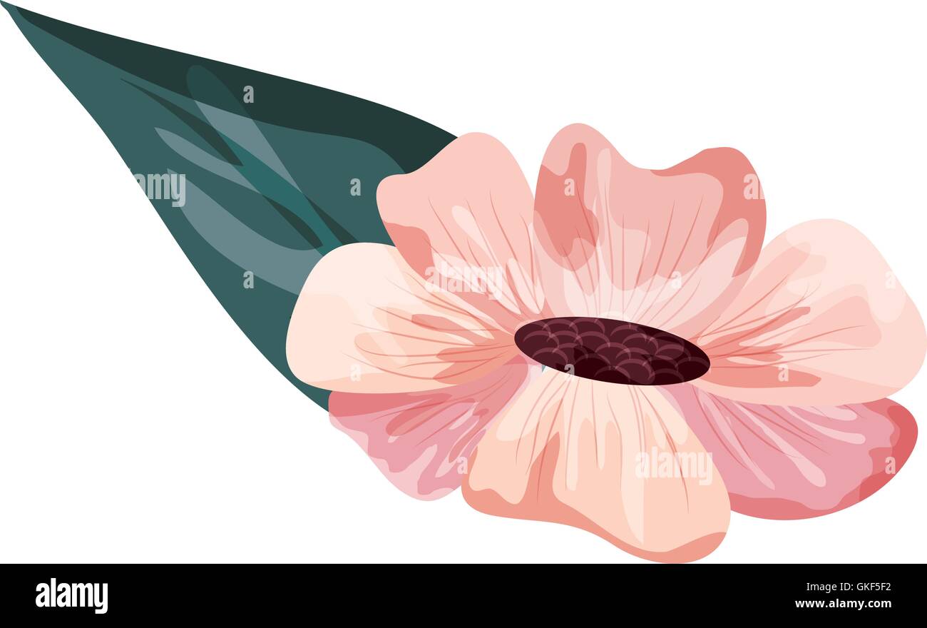 delicate flower icon Stock Vector Image & Art - Alamy