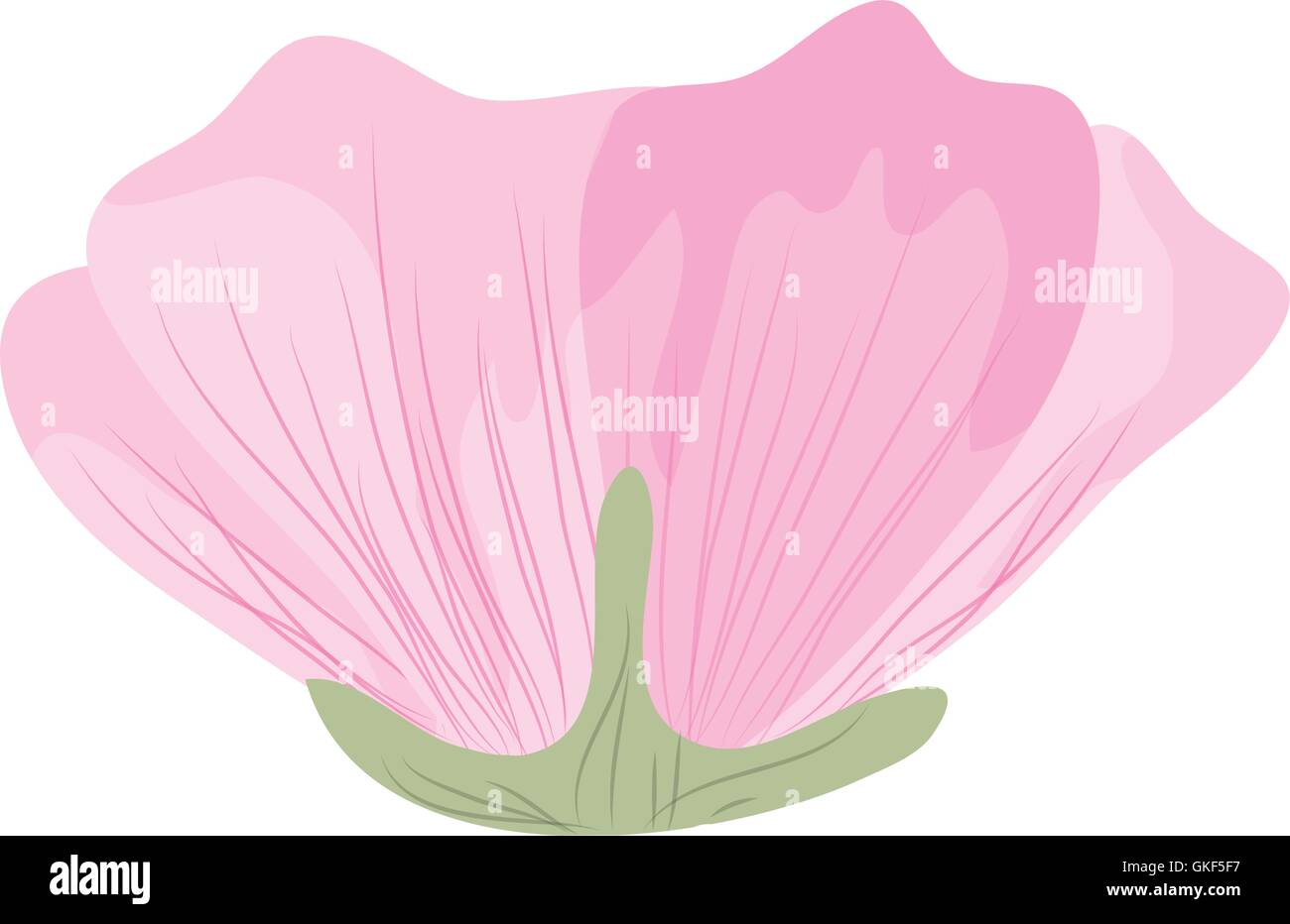 delicate flower icon Stock Vector Image & Art - Alamy