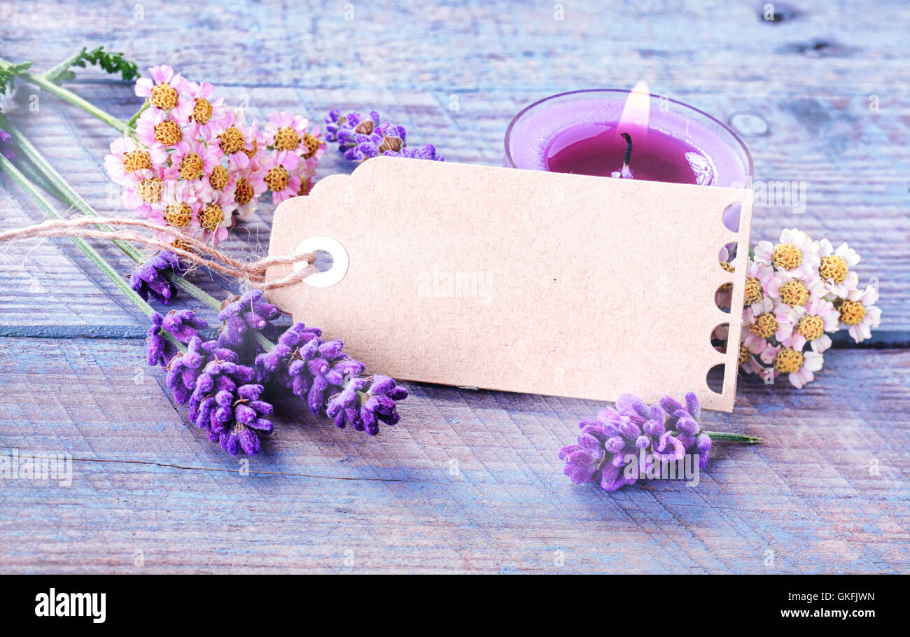 female tree modern Stock Photo - Alamy