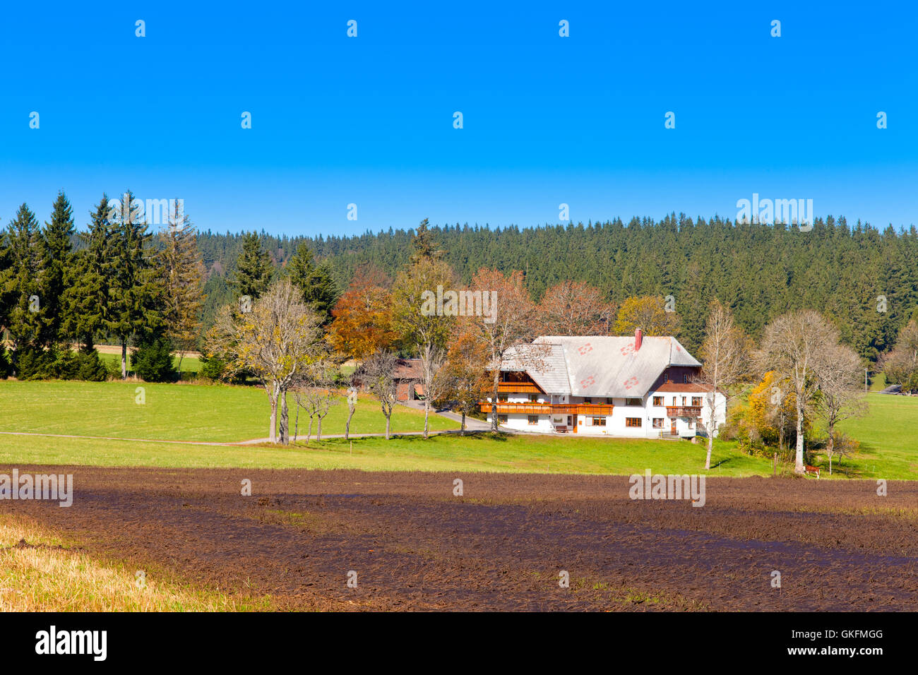 Typical Black Forest Farmhouse Stock Photo - Alamy
