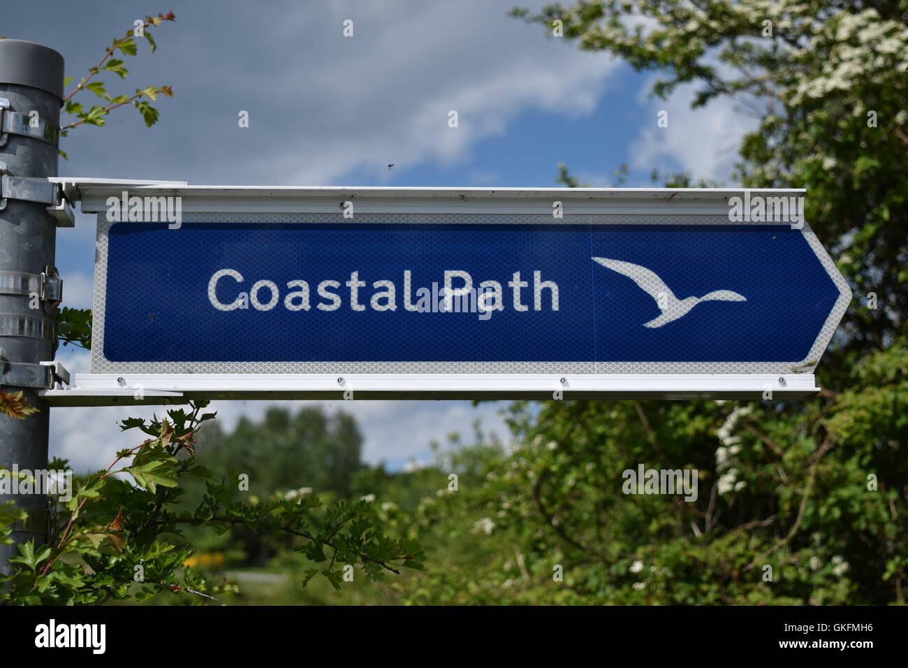 Sign to the Coastal path Stock Photo - Alamy