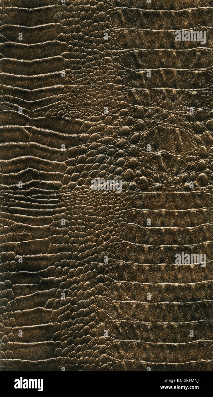 texture of skin Stock Photo - Alamy