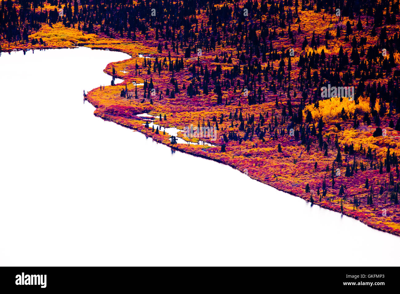 Lake and surrounding taiga in fall Stock Photo - Alamy