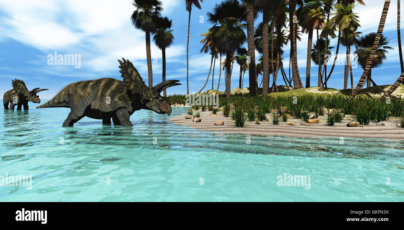 Coahuilaceratops hi-res stock photography and images - Alamy