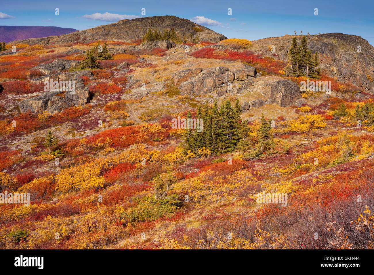 Canada tundra distance hi-res stock photography and images - Alamy