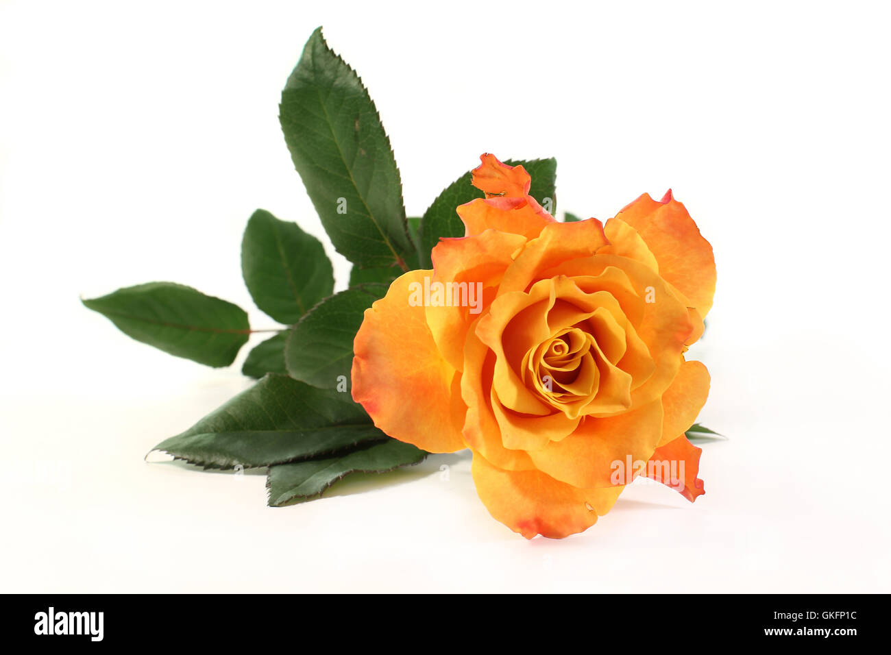 Rose birthday hi-res stock photography and images - Alamy