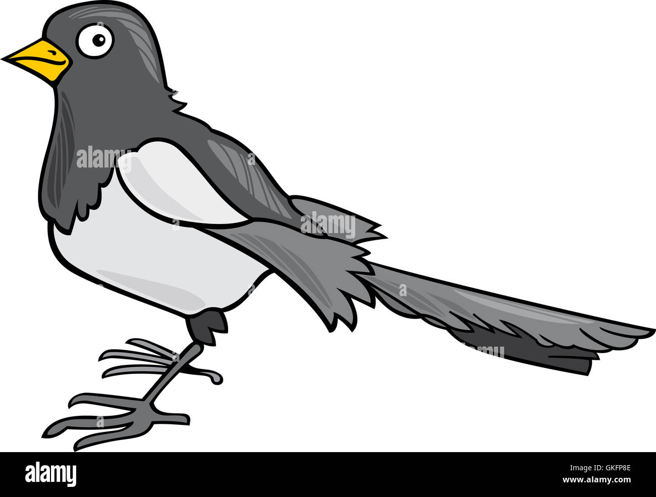 Magpie illustration Cut Out Stock Images & Pictures - Alamy