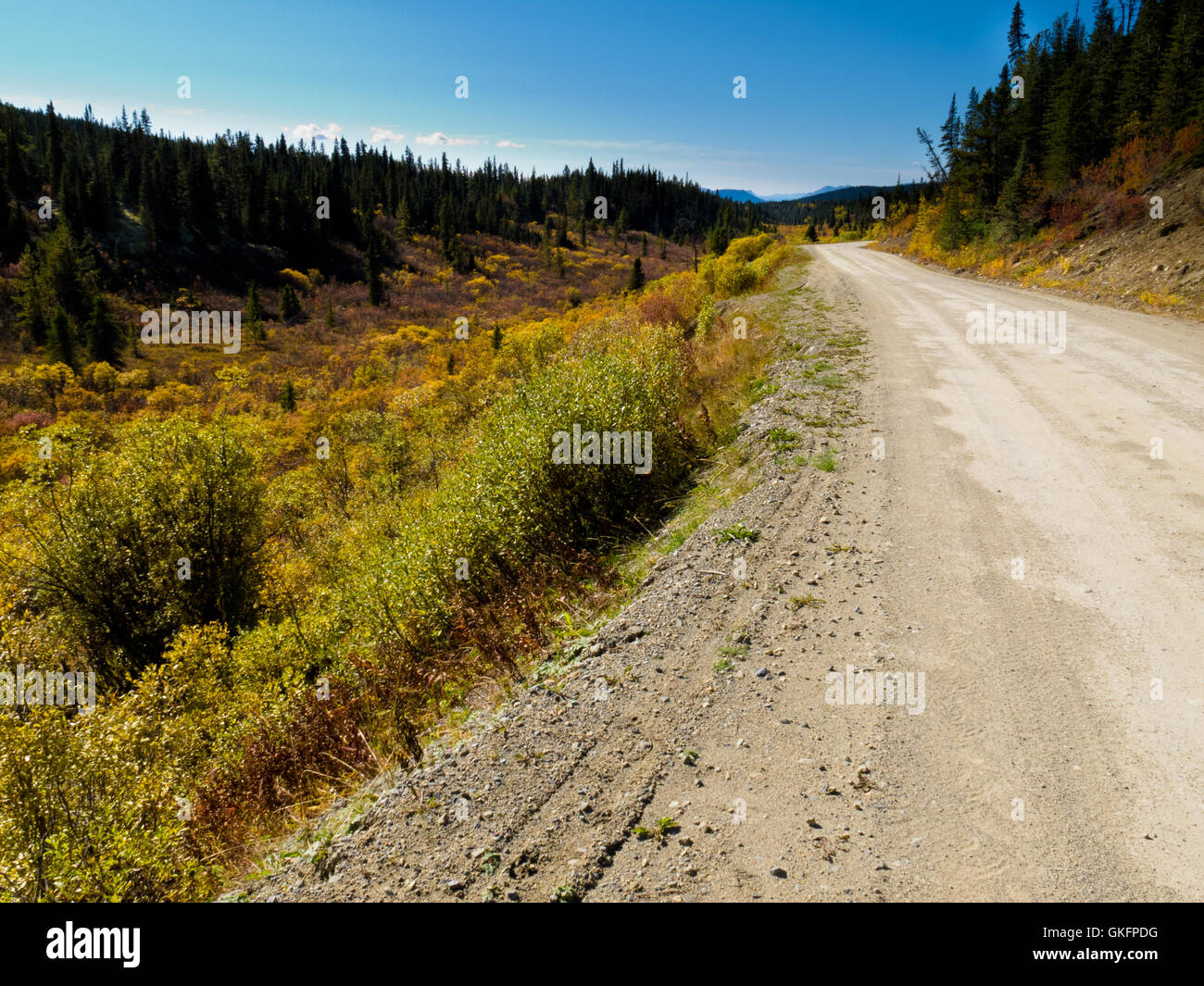 Fall colors at South Canol Road, Yukon T, Canada Stock Photo - Alamy