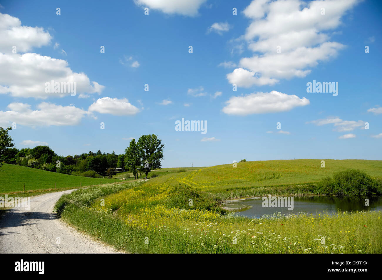 Landscape with lake and path Stock Photo - Alamy